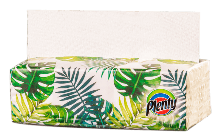 Cleaning Tips, Kitchen Hygiene & Fun with Plenty Paper Towels - Plenty